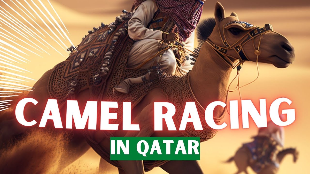 Desert Speed Demons: Inside the World of Camel Racing in Qatar - YouTube