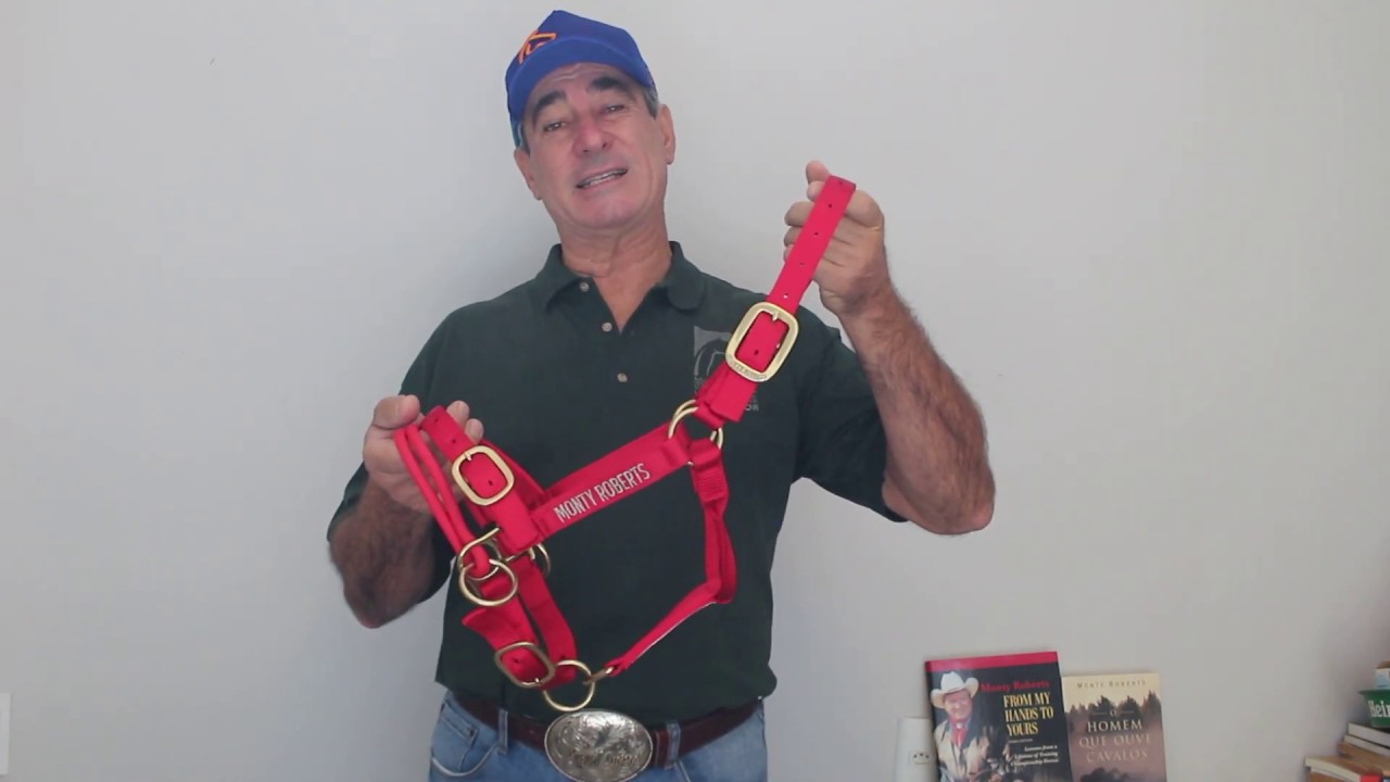 Apresentação do Cabresto Dually - Miguel Lupiano - YouTube