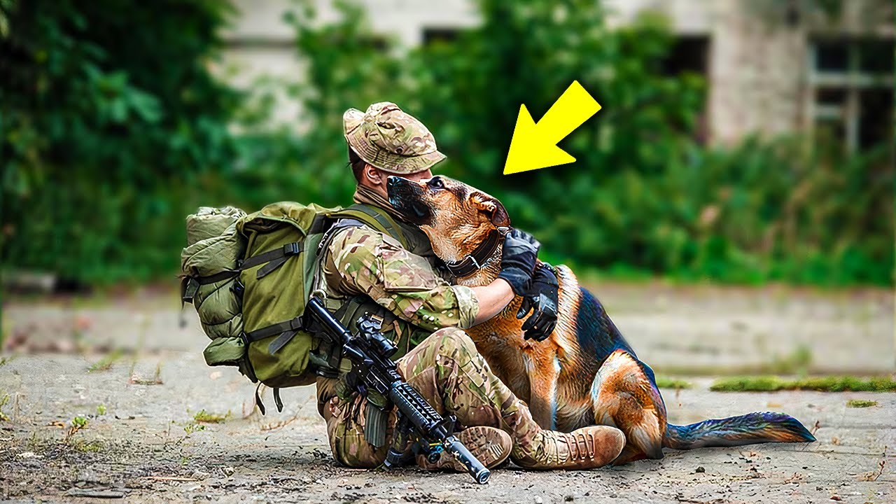 Soldier Hasn’t Seen Best Friend In 2 Yrs. Watch What Happens When They ...