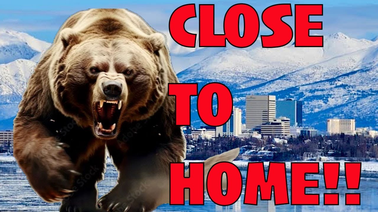 Woman Attacked by Bear In My Neighborhood | Anchorage | A Tour of ...