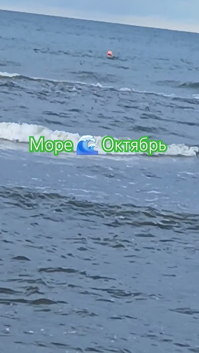 #природа #осень #забудь #алексейроманюта #шансон #октябрь #тихаяосень # ...