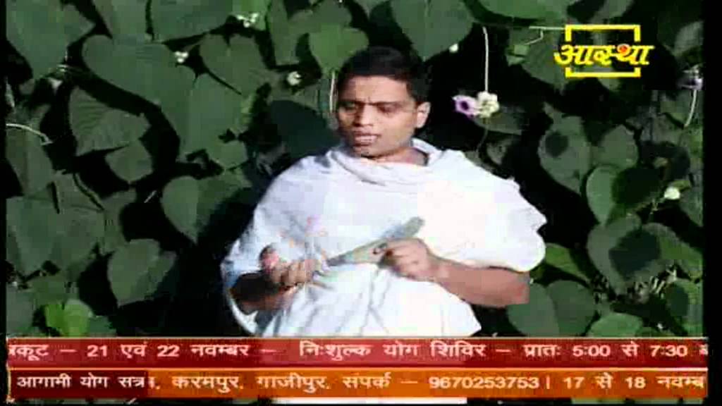 Elephant Creeper,Vidhara - YouTube