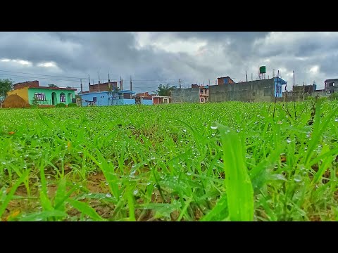 malai bal sarpalai maryak muryak parxu rey😂😂#jp