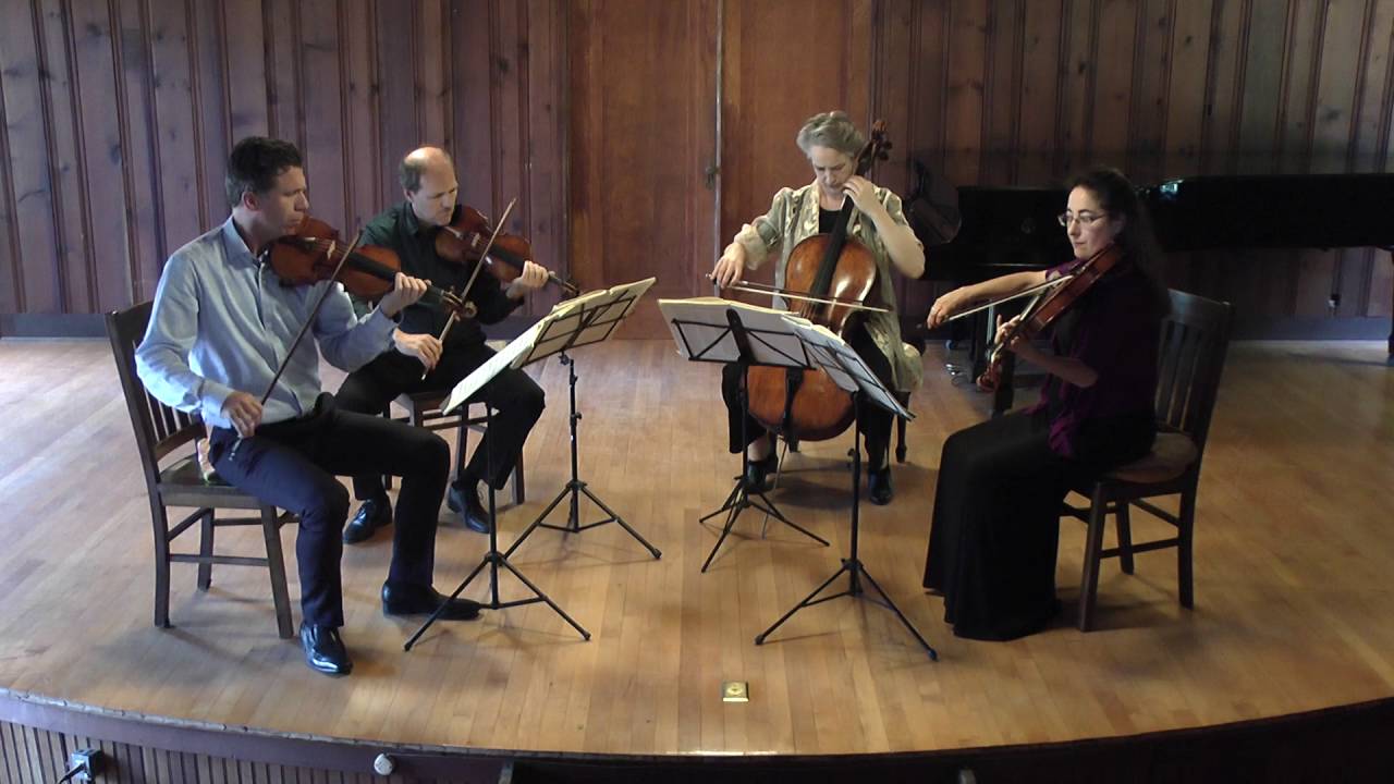 Penderecki String Quartet: Haydn – Quartet in D Major, Op. 20, No. 4 - YouTube