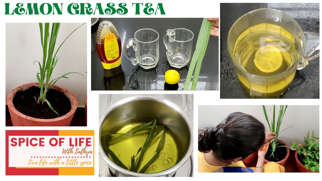 Lemon Grass Tea | Fresh and Flavorful Healthy Tea | Making of Video ...