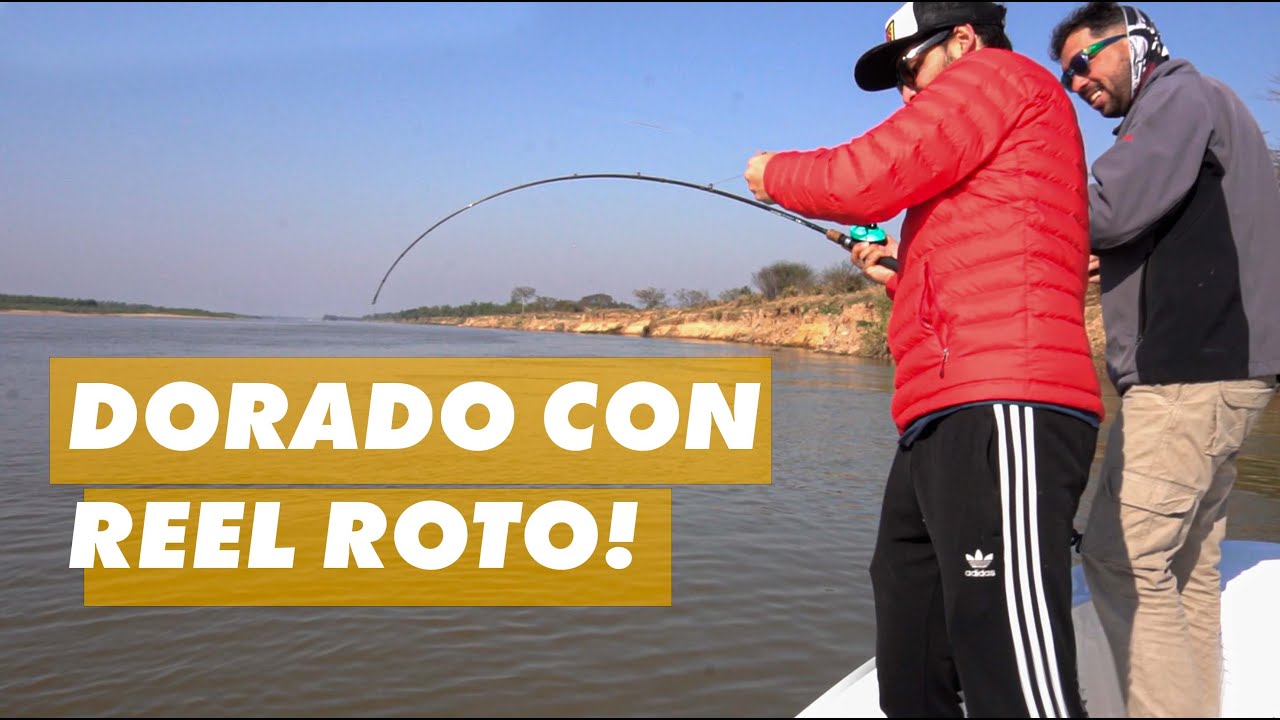 Pesca dorado con reel roto en esquina. - YouTube