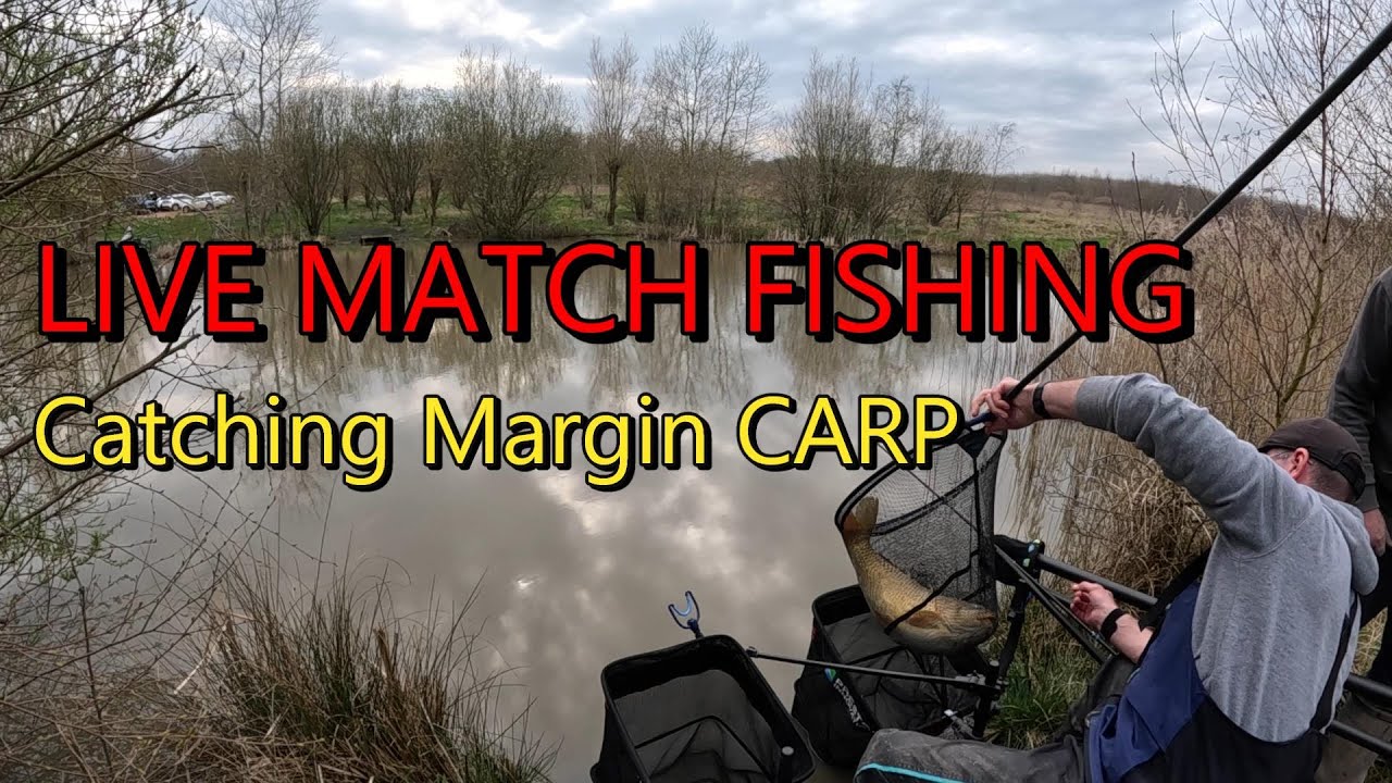 Catching Carp and Skimmers to WIN | Spring Cottage Fisheries - YouTube