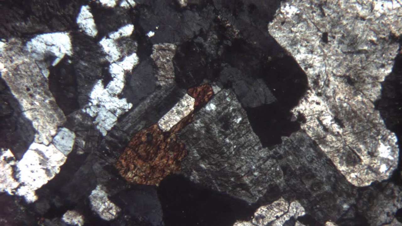 Diorite quartzique au microscope polarisant (LPA) - YouTube