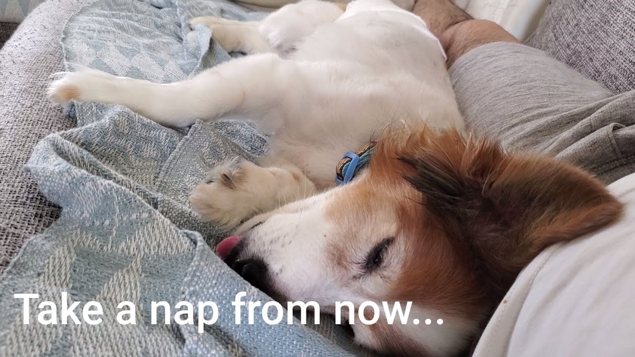 Take a nap from now... - YouTube