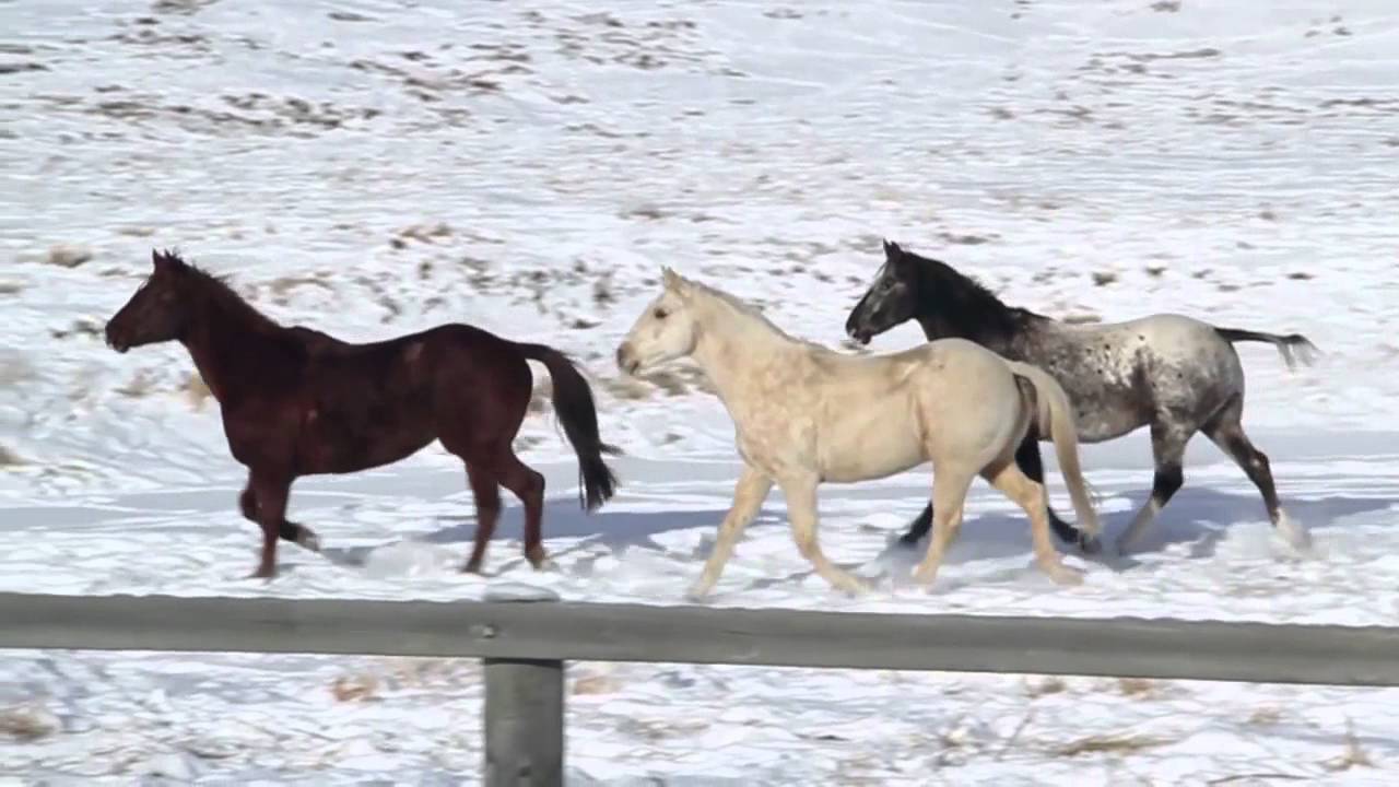 Drone Chick - Sample Video Documentary of Home Using Aerial Videos - 1 - YouTube