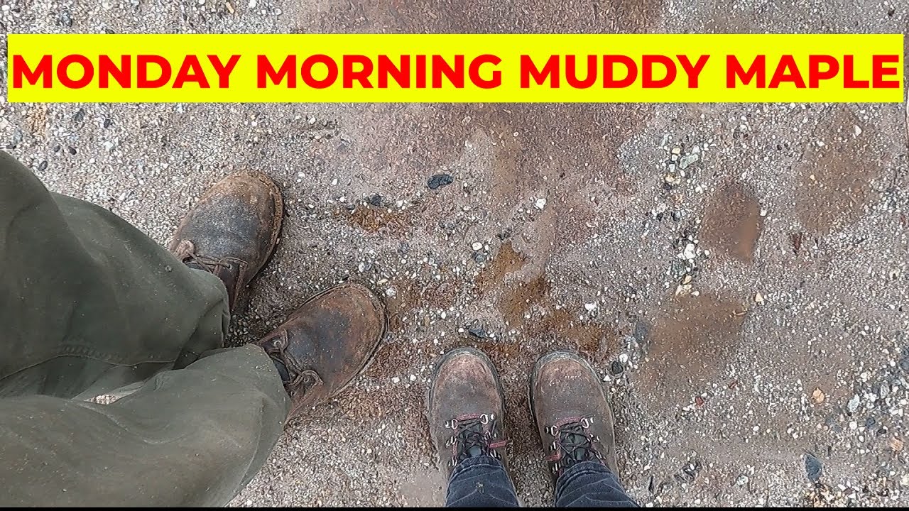 Monday Morning Muddy Maple - YouTube