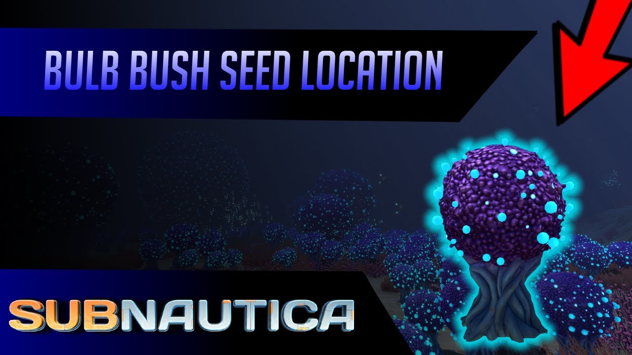 Where to find Bulb Bush Samples in Subnautica (UPDATED) - YouTube
