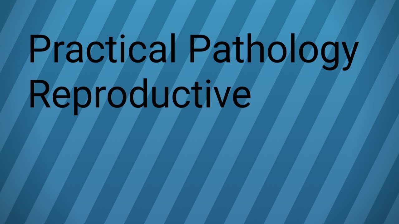 Practical Pathology of Male/ Reproductive Module 2024 - YouTube