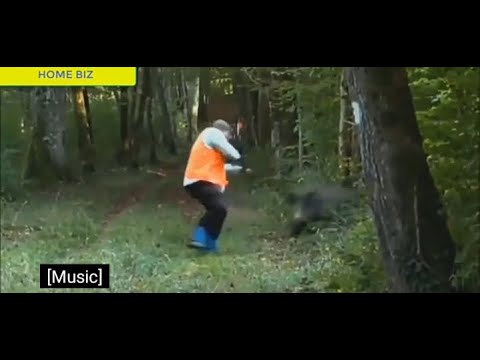 Worst Animals Attack on Humans-The worst attacks on Earth|See and Watch ...