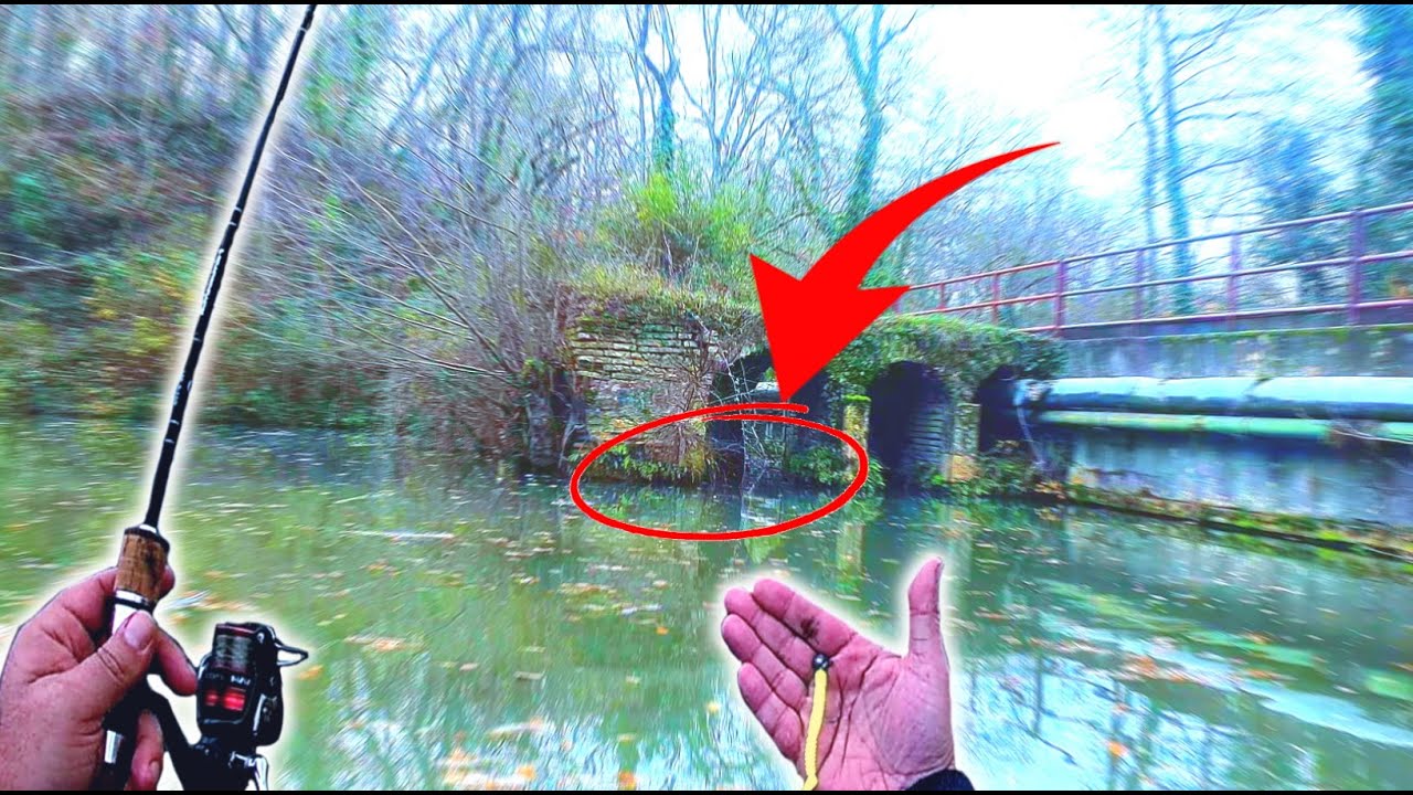 Un ENORME Poisson se Cache la Dessous ! il nous a Surpris ! - YouTube