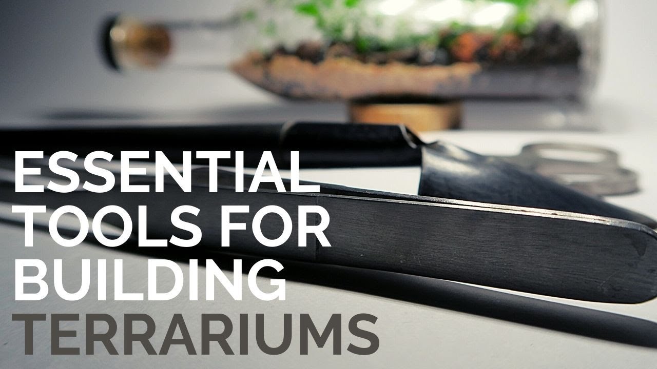 7 essential tools for terrarium builders || Terrascaping tools every ...