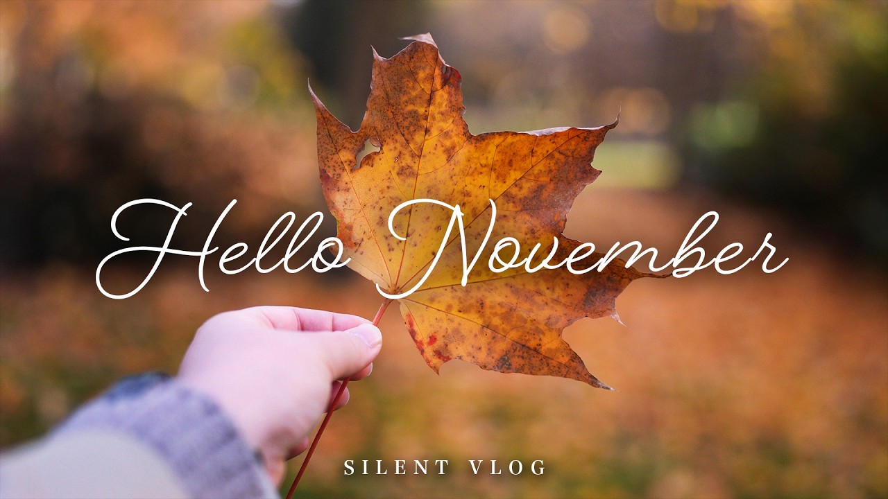 Cozy November 🍁 | Cooking, Nature, Calming Vibes | Slow Living Vlog ...