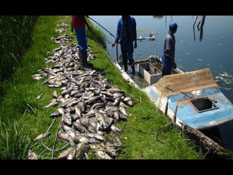 Apies River disaster area - YouTube
