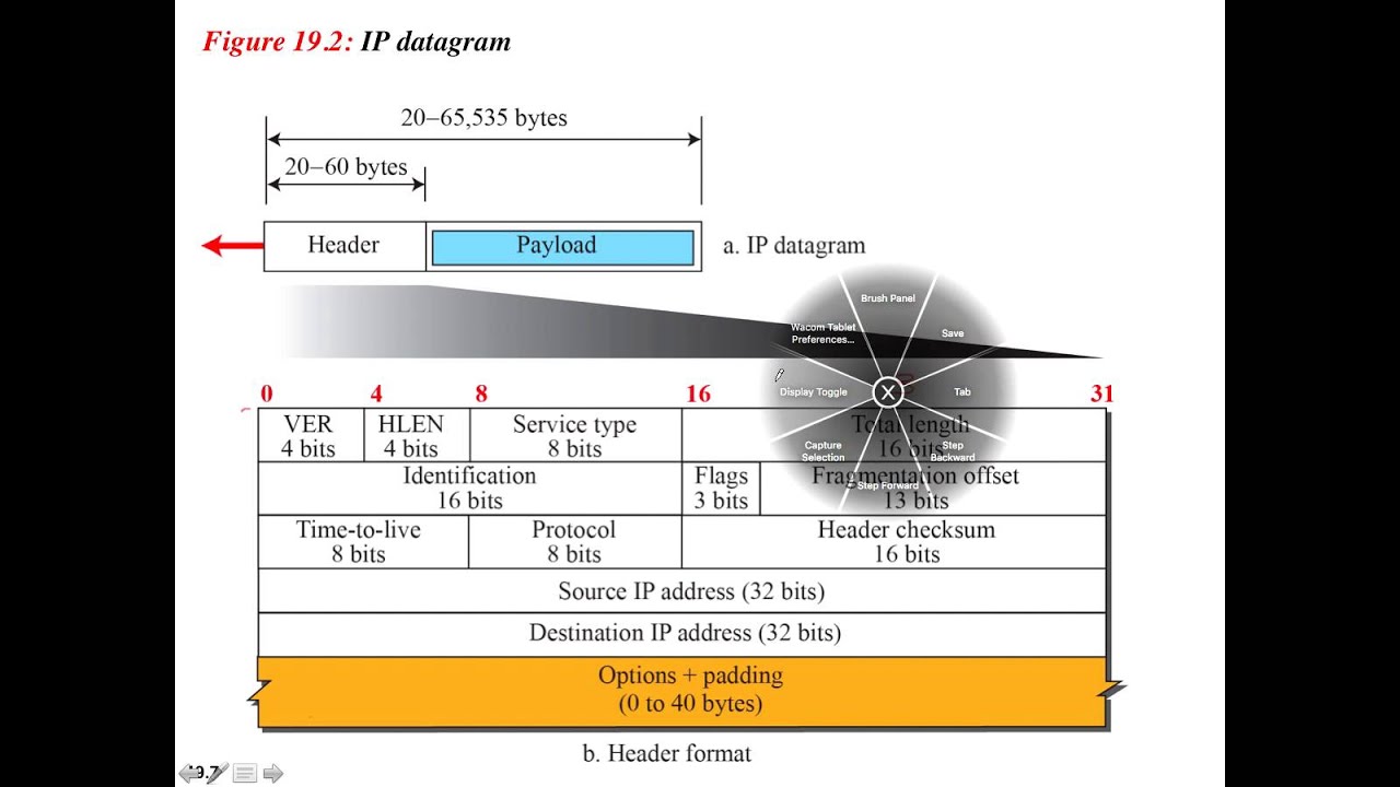3 1 Introduction and IP datagram - YouTube