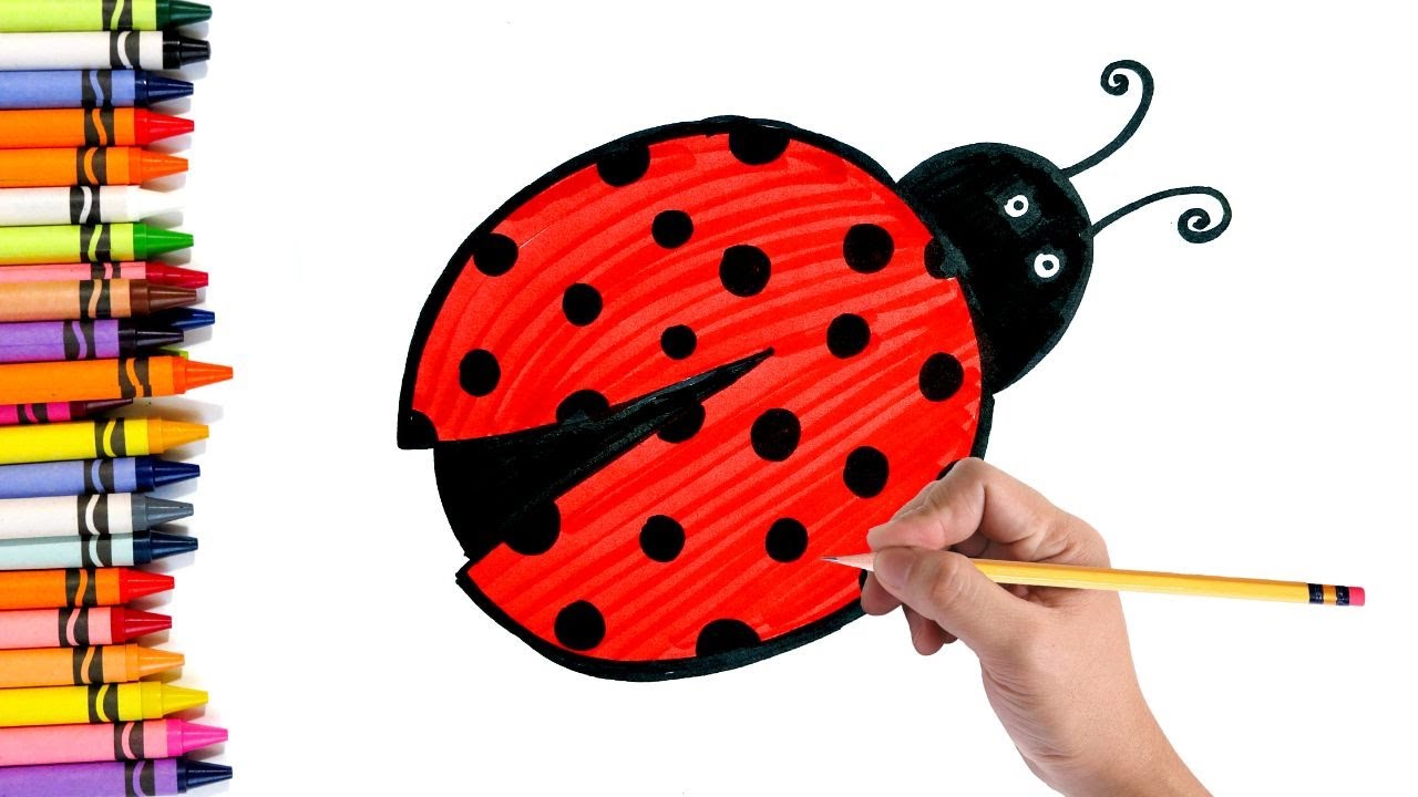 Cute Lady Bug Drawing For Kids & Toddlers, Rhymes and Kids Song ...
