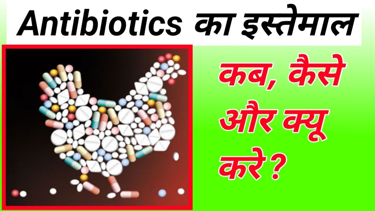 73 Probiotics for poultry, Medicine management, Lixen powder ...