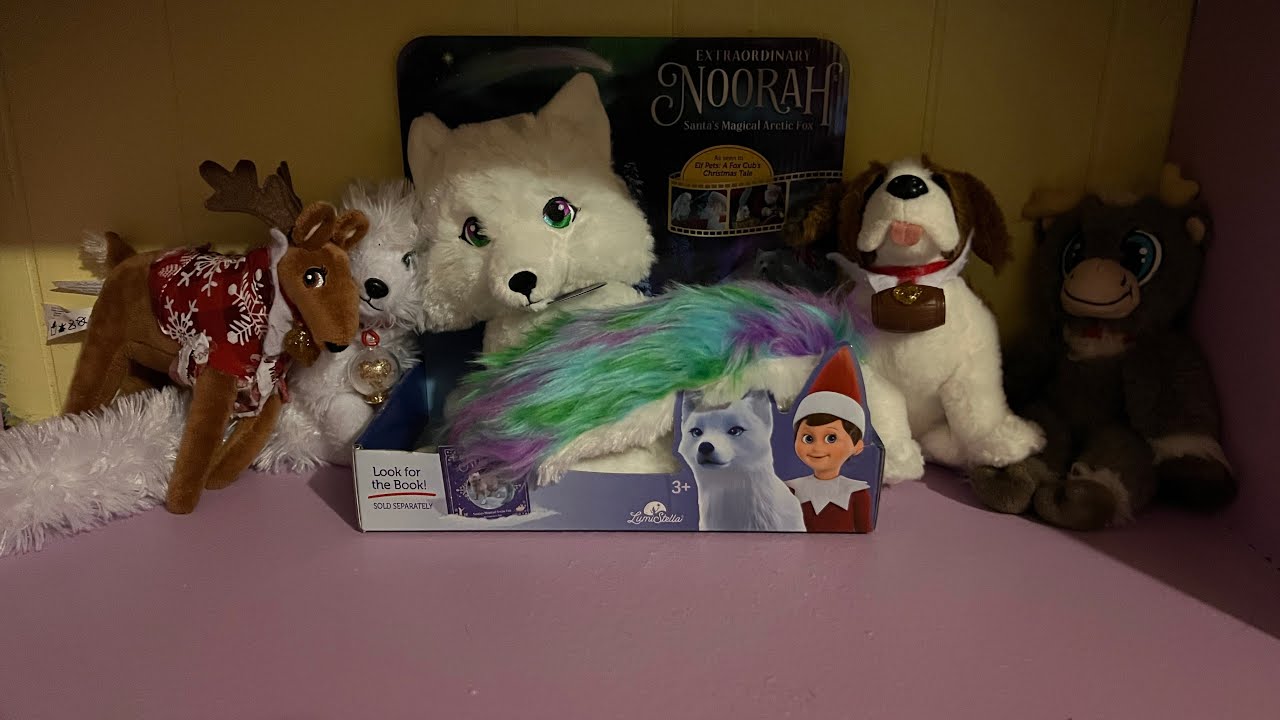 Unboxing video of @ElfOnTheShelf Noorah Santas, magical, arctic fox ...
