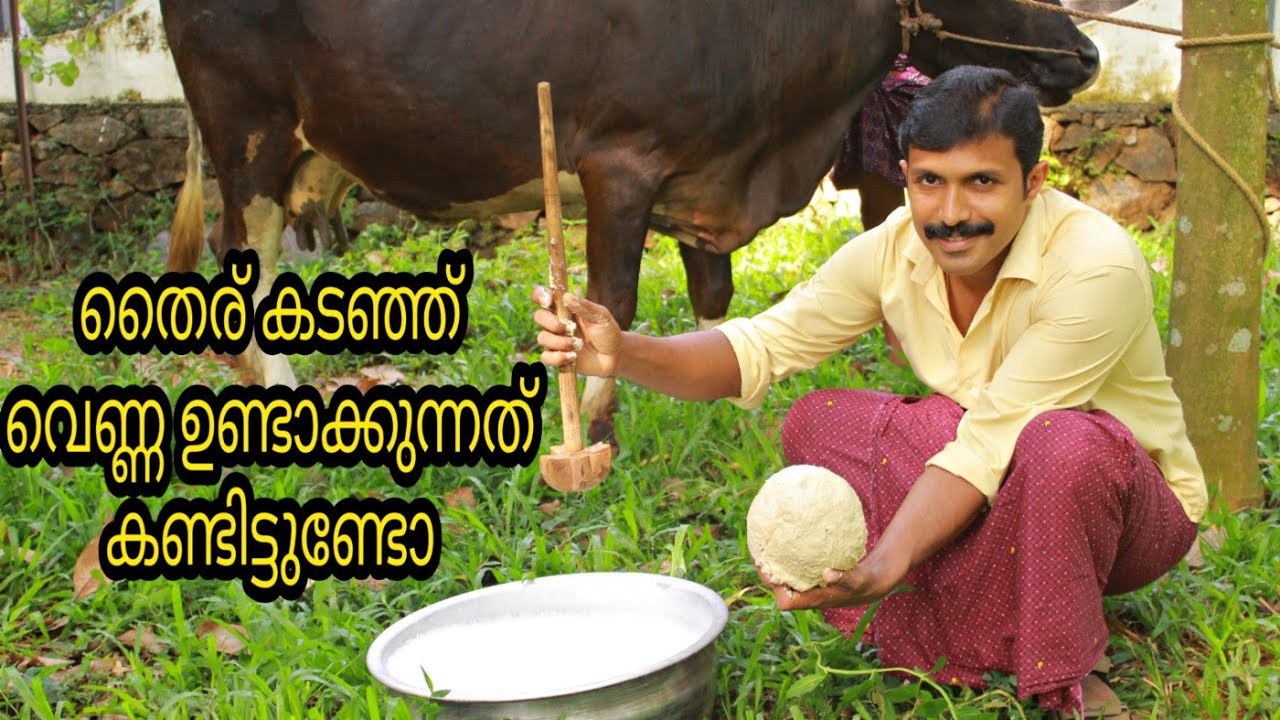 Butter Preparation at Home from Curd | Traditional Method | How to make ...