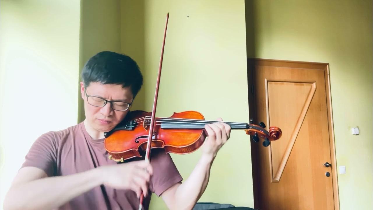 R. Strauss: Don Juan Op. 20 (page I) violin excerpt - YouTube