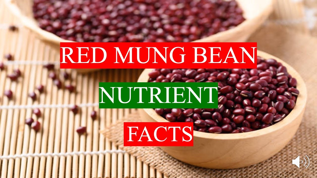 RED MUNG BEAN - MEDICAL AND HEALTH BENEFITS AND NUTRIENTS FACTS - YouTube