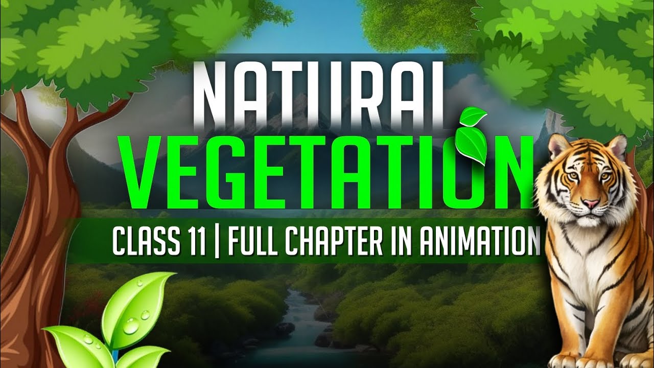 Natural Vegetation Class 11 Geography one shot Chapter 5 | In Animation ...