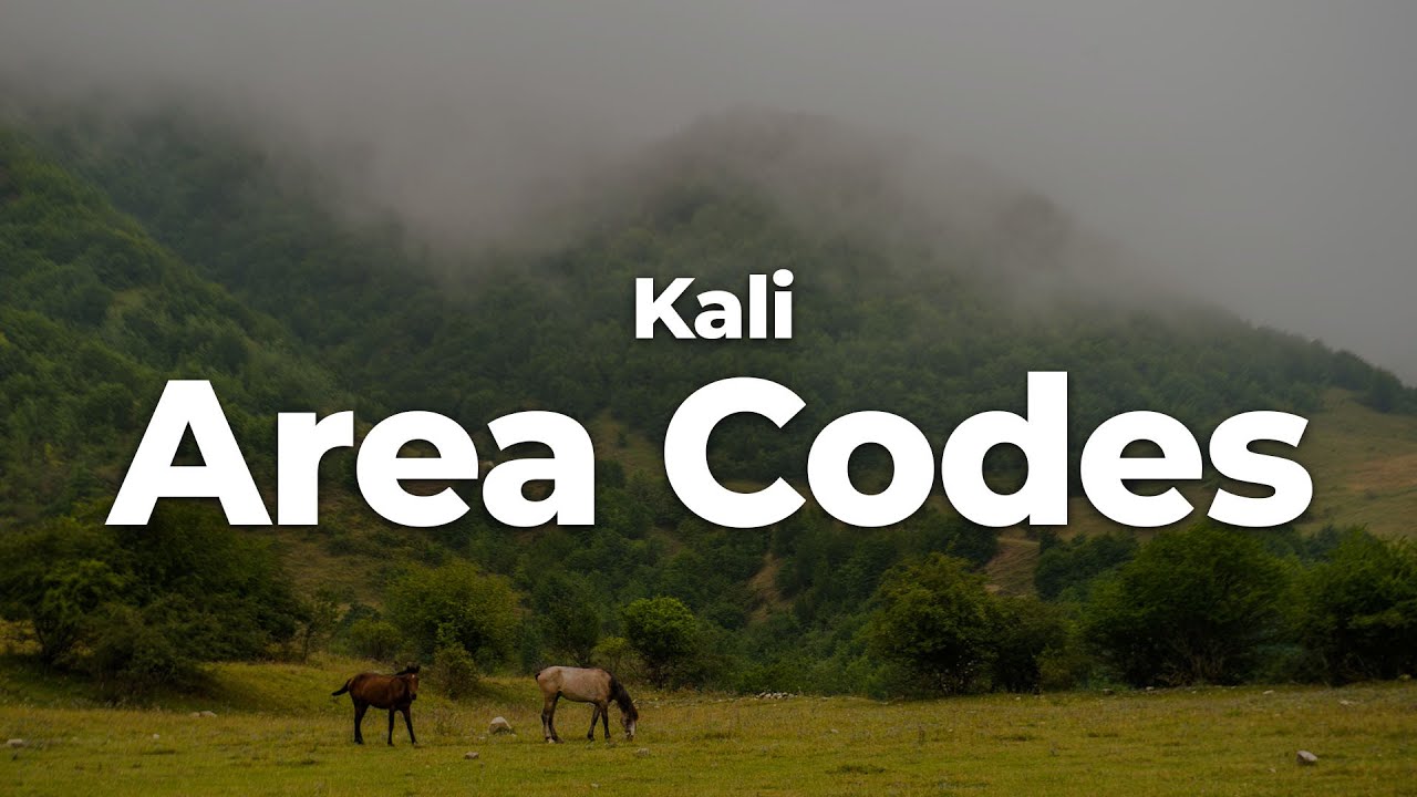 Kali - Area Codes (Letra/Lyrics) | Official Music Video - YouTube