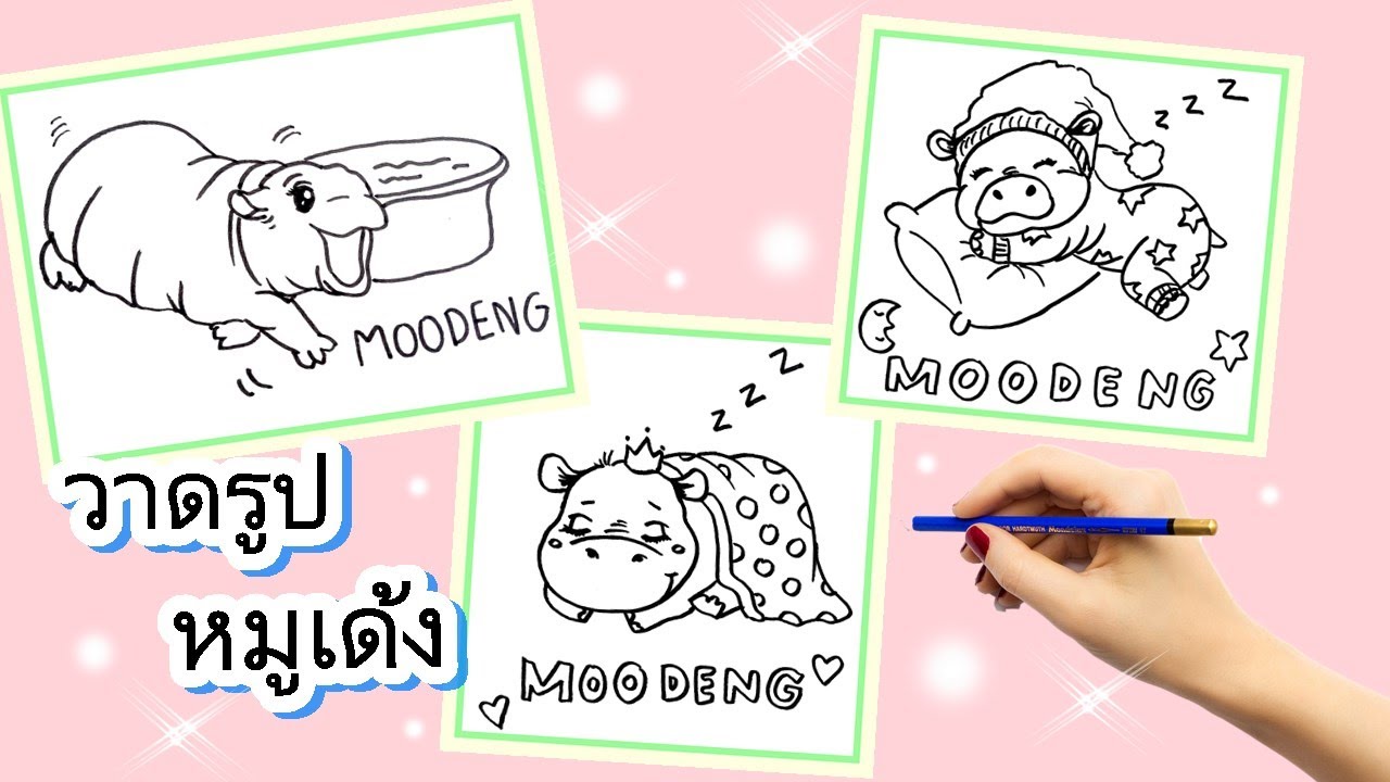 How to draw Moodeng tiny hippo in Thailand. วาดรุปหมูเด้ง ฮิปโปแคระ ...