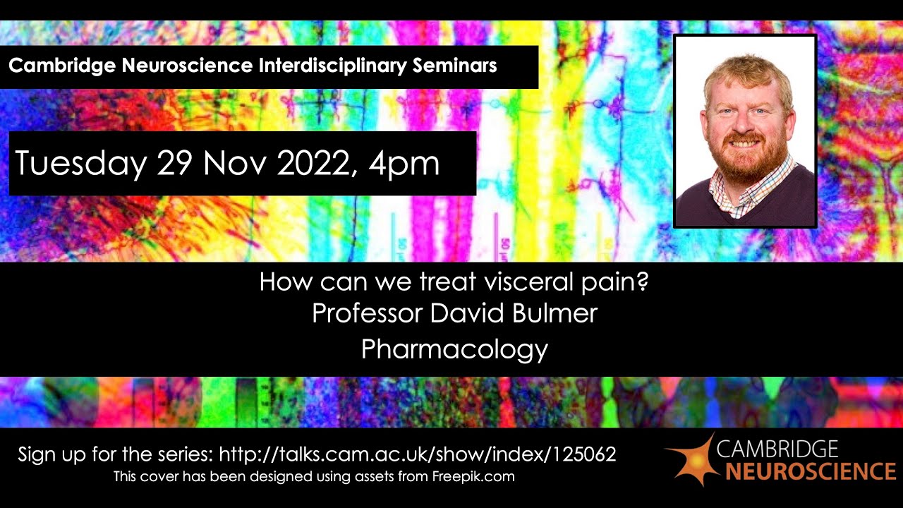 How can we treat visceral pain? | Dr David Bulmer | Cambridge ...