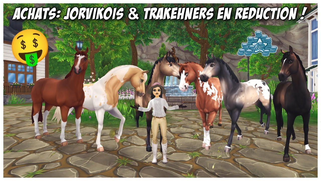 [SSO] Achats: Trakehners & Jorvikois sang chaud en réduction ! 💸 - YouTube