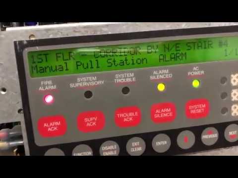 Field Work: Simplex TrueAlert Elementary School Fire Alarm Test - YouTube