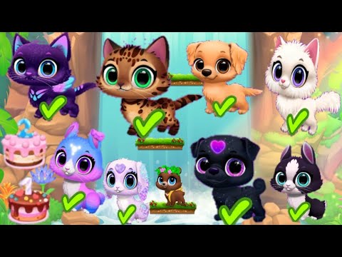 FLOOF My Pets House 🏠 Tuto Toons primium puppies. birthday 🎂 Party #sk ...
