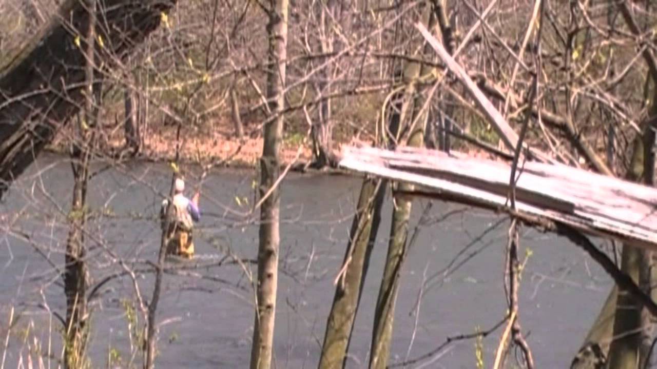 Little Juniata River Grannom Hatch 2009 - YouTube