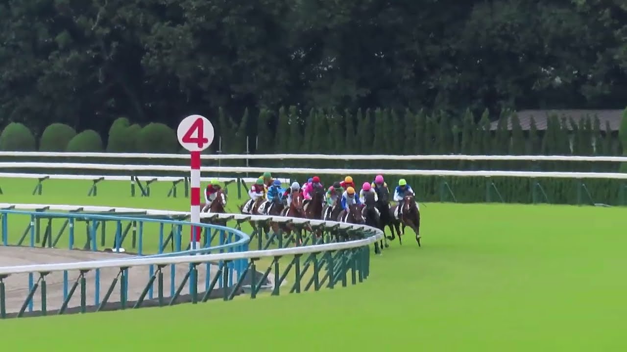 【現地】2023 10 14 メイクデビュー タガノエルピーダ 団野大成【京都競馬場】 Youtube