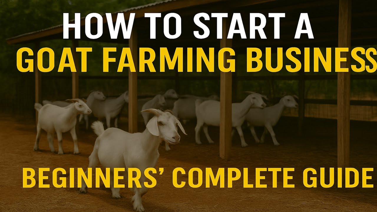 How to Start a Goat Farming Business: Beginners' Complete Guide - YouTube