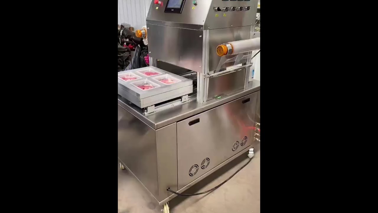 Modified Atmosphere Vacuum Packaging Machine (MAP standard single ...