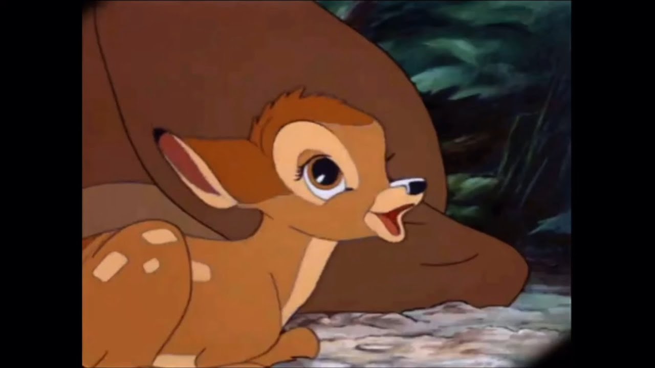 Opening to Aladdin (1992) DVD Part 1 - YouTube