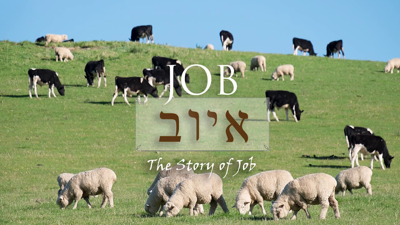 The Story Of Job Part I YouTube the-story-of-job-part-i-youtube