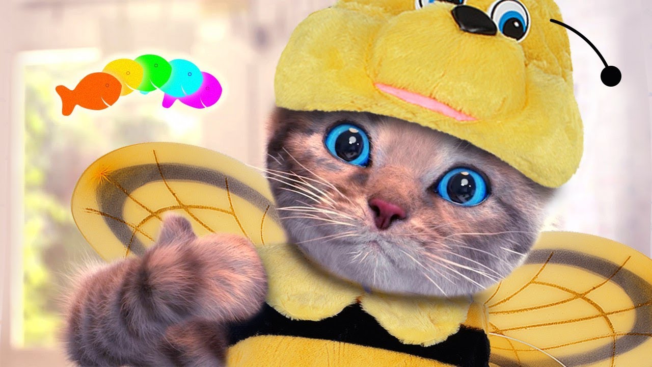 ANIMATED LITTLE KITTY ADVENTURES 😸 CUTE LITTLE KITTEN Cat Play Fun Pet ...
