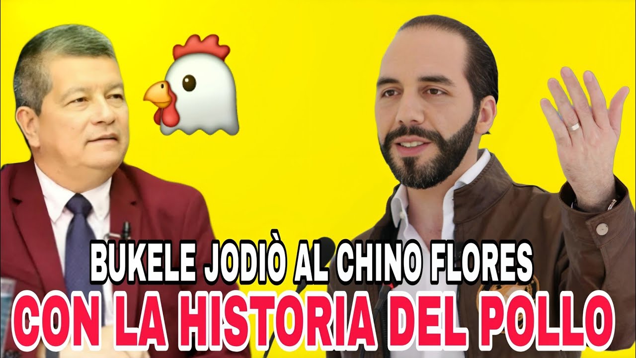 El presidente Bukele Jodio al chino flores con La historia del Pollo 🍗 ...