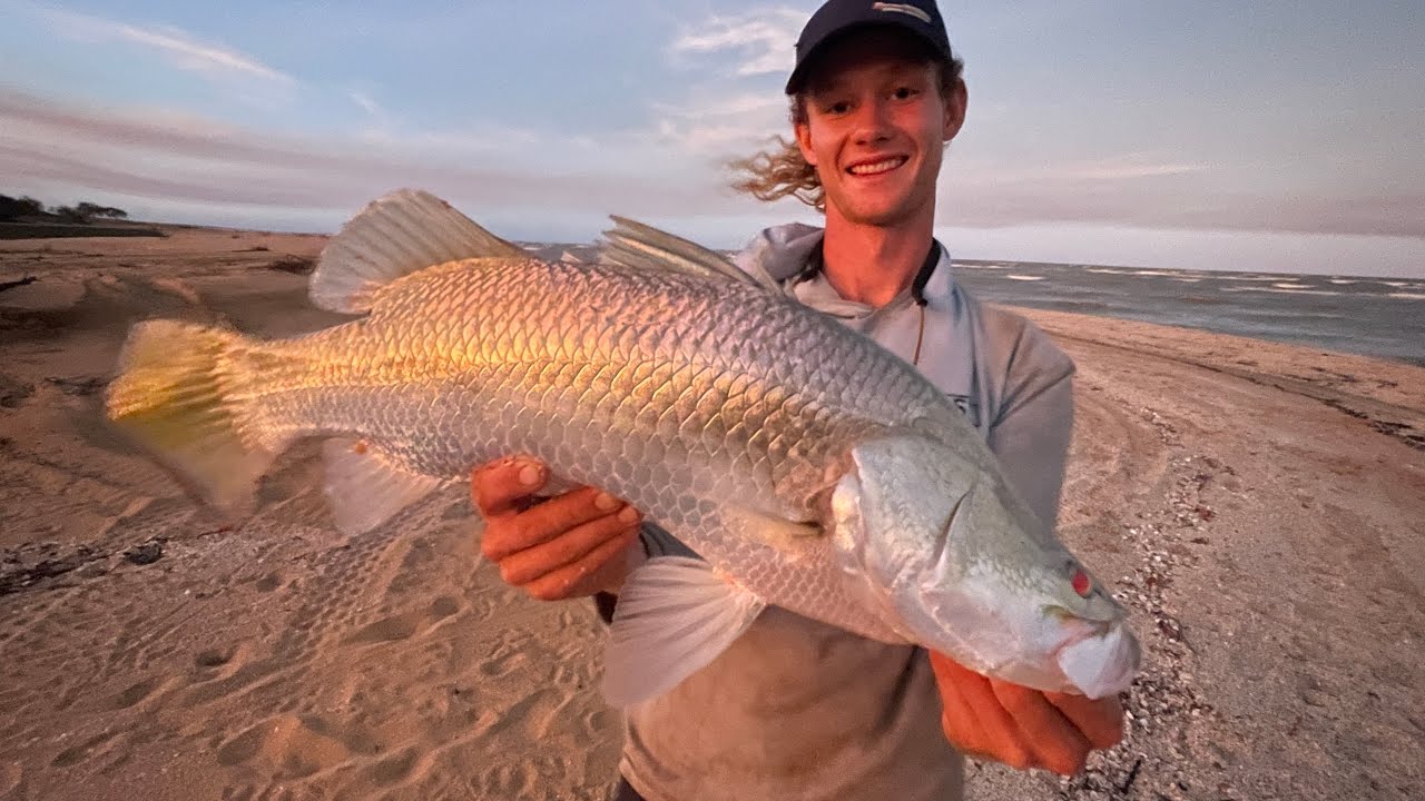 Cape York chrome & Golden deep snag Barra - YouTube