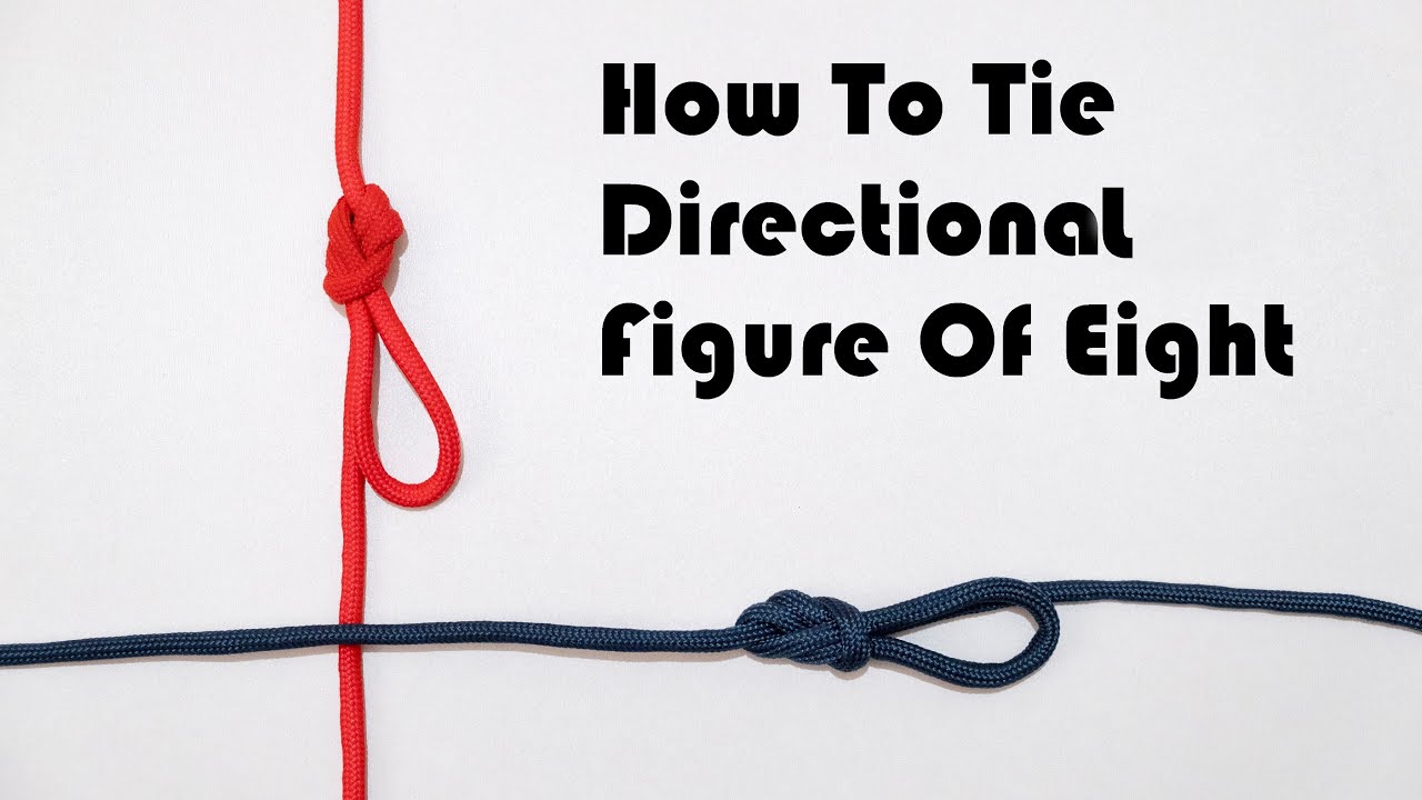 How To Tie The Directional Figure Of Eight Loop Knot (Inline figure of ...