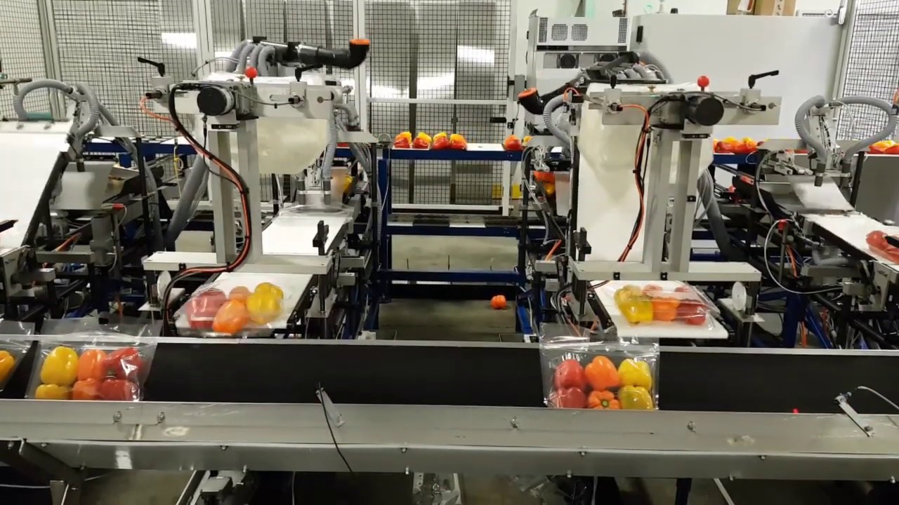 RM UCD 15PPH 2M Automated Pepper Bagging V2 720p - YouTube