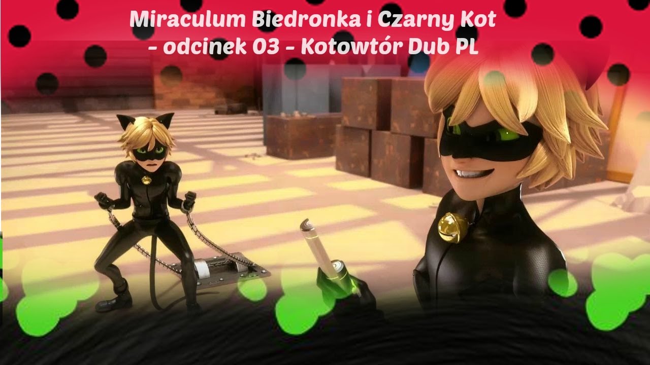 Miraculum Biedronka i Czarny Kot - odcinek #03 - Kotowtór Dub PL - YouTube