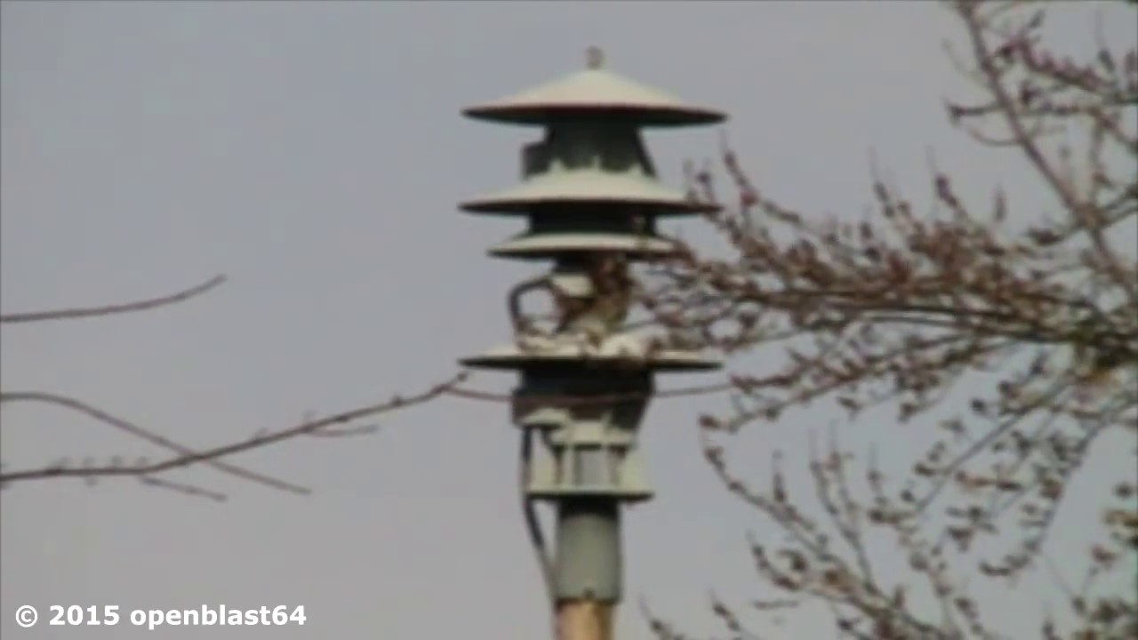 Soundmaster 115 siren test, Taycheedah, WI - YouTube