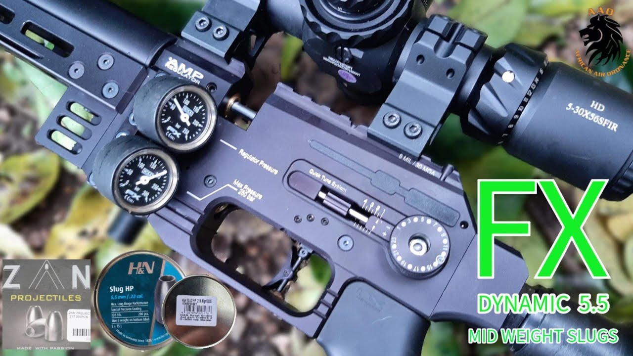 "Accuracy and Velocity Comparison: FX Dynamic 5.5mm Put to the Test ...